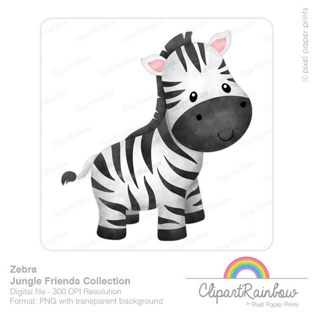 Zebra Clipart - Jungle Clip Art - Watercolor Clipart - Digital File - Etsy