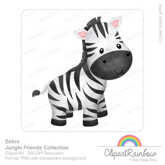 Zebra Clipart Jungle Clip Art Watercolor Clipart Digital | Etsy