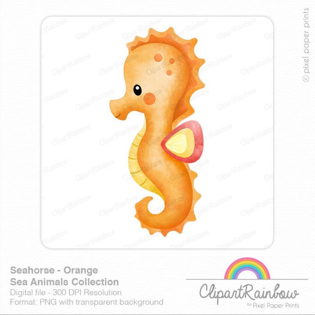 Watercolor Seahorse Clipart - Sea Animals Clip Art - Digital File - Etsy
