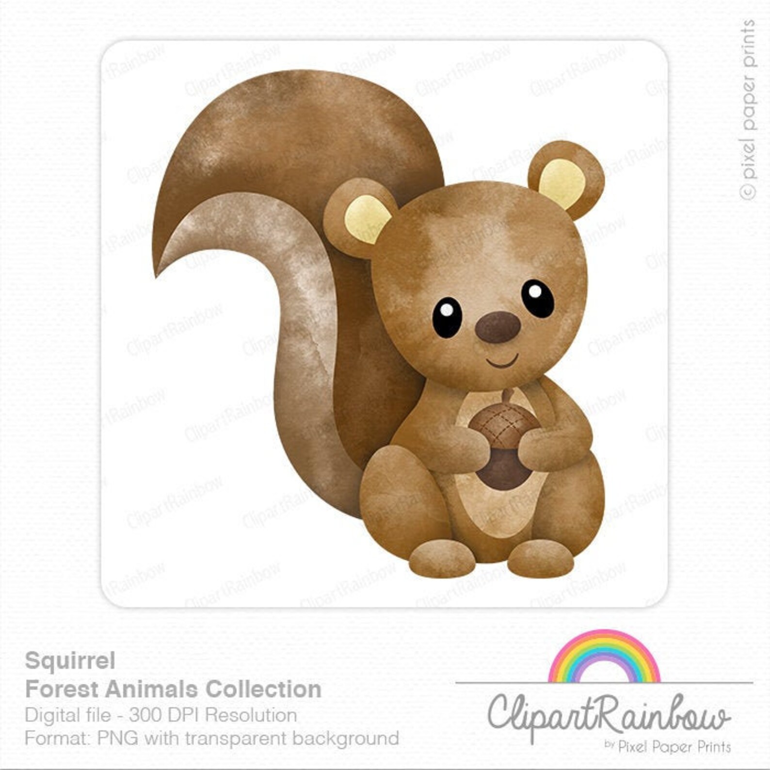 Watercolor Squirrel Clipart Woodland Animals Clip Art Digital - Etsy