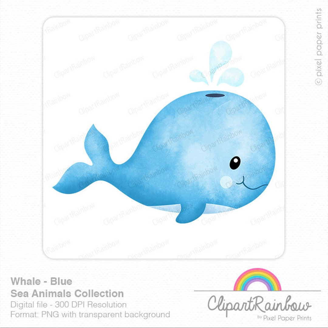 Cute Baby Whale Clipart