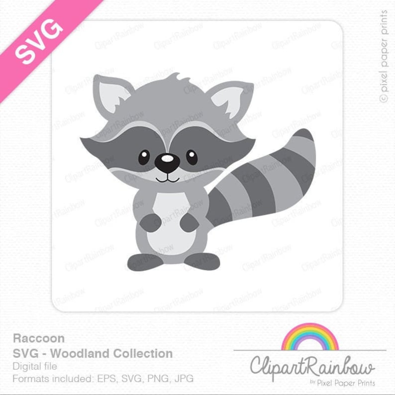 Raccoon SVG Cute Raccoon Clip Art Woodland Animals SVG - Etsy