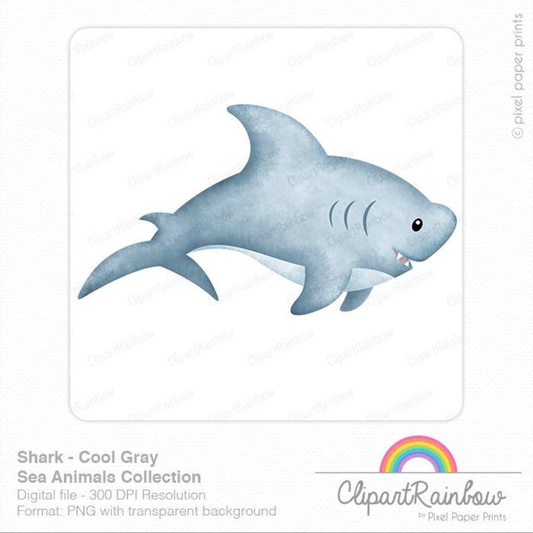 Shark Clipart - Watercolor Shark Clip Art - Baby Shark - Etsy
