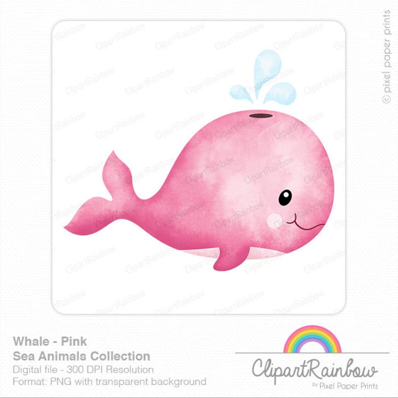 Whale clipart Watercolor whale clip art Pink whale | Etsy