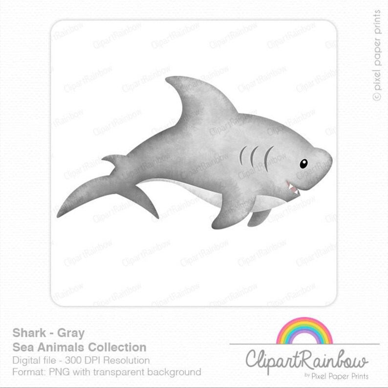 Watercolor Shark Clipart Baby Shark Clip Art | Etsy
