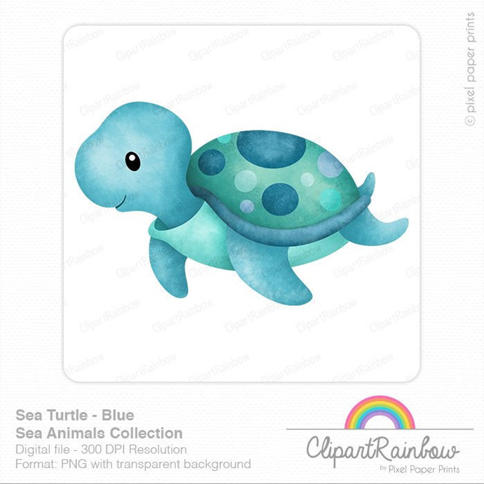 Sea Turtle Sea Animals Clipart Ocean Clip Art Digital | Etsy