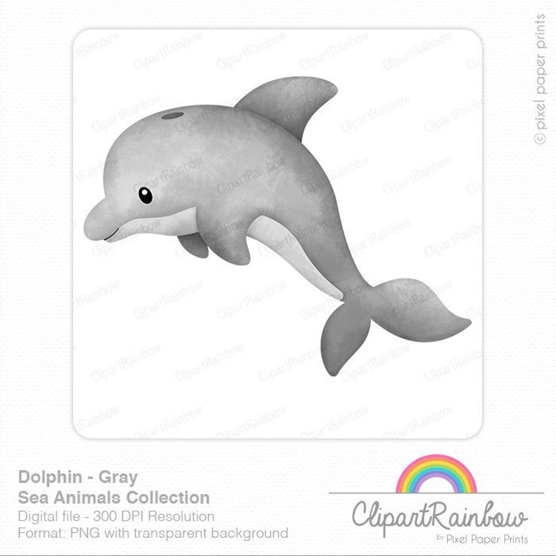 Watercolor Dolphin Dolphin Clipart Sea Animals Clip Art - Etsy