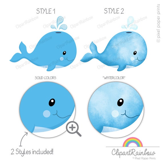 Baby Walvis Clipart De Spreadshop Van Stef Ringoot