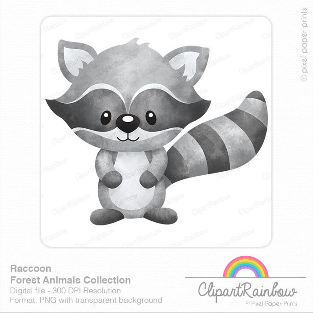 Raccoon Clipart - Woodland Animals Clip Art - Watercolor Graphics ...