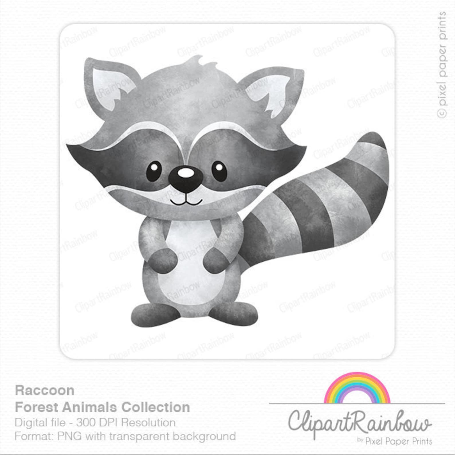 Raccoon Clipart Woodland Animals Clip Art Watercolor - Etsy