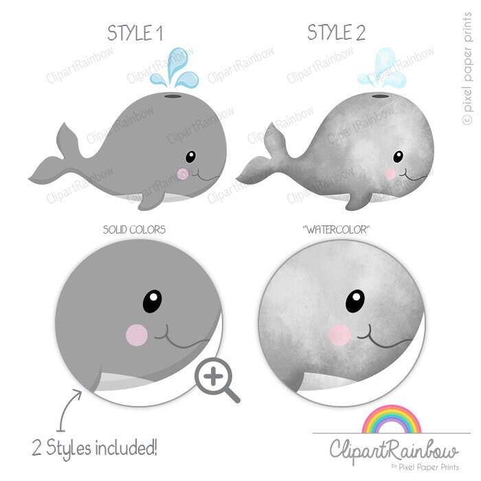 Cute Baby Whale Clipart