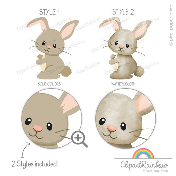Pet Rabbit Clipart