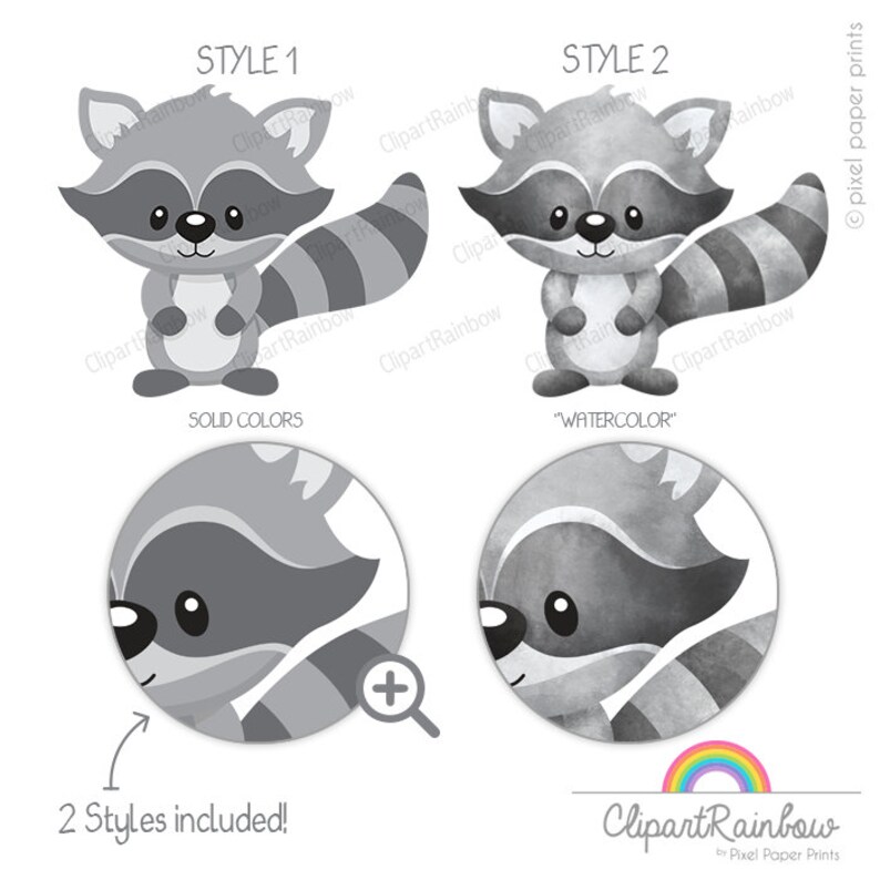 Raccoon Clipart Woodland Animals Clip Art Watercolor - Etsy