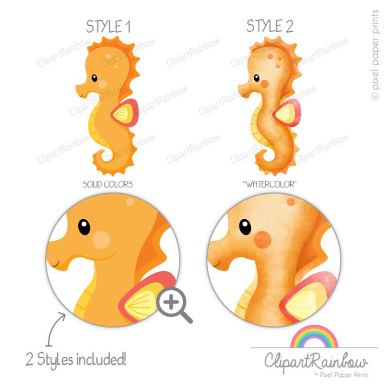 Watercolor Seahorse Clipart Sea Animals Clip Art Digital - Etsy
