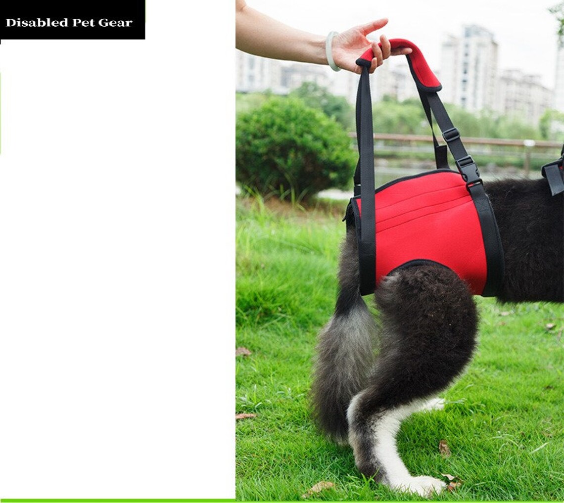 Front And/or Rear Support & Rehabilitation Dog Harness Read - Etsy