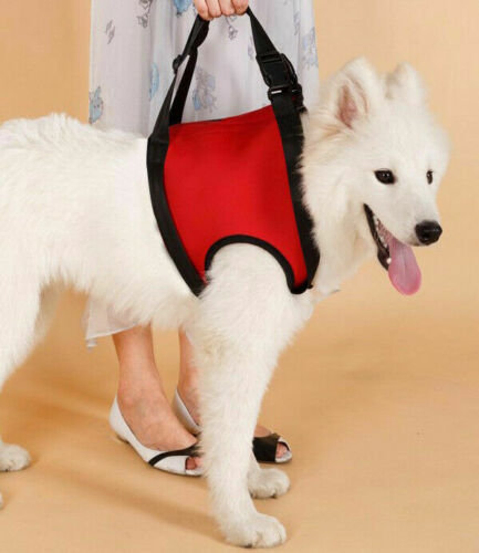 Front And/or Rear Support & Rehabilitation Dog Harness Read - Etsy