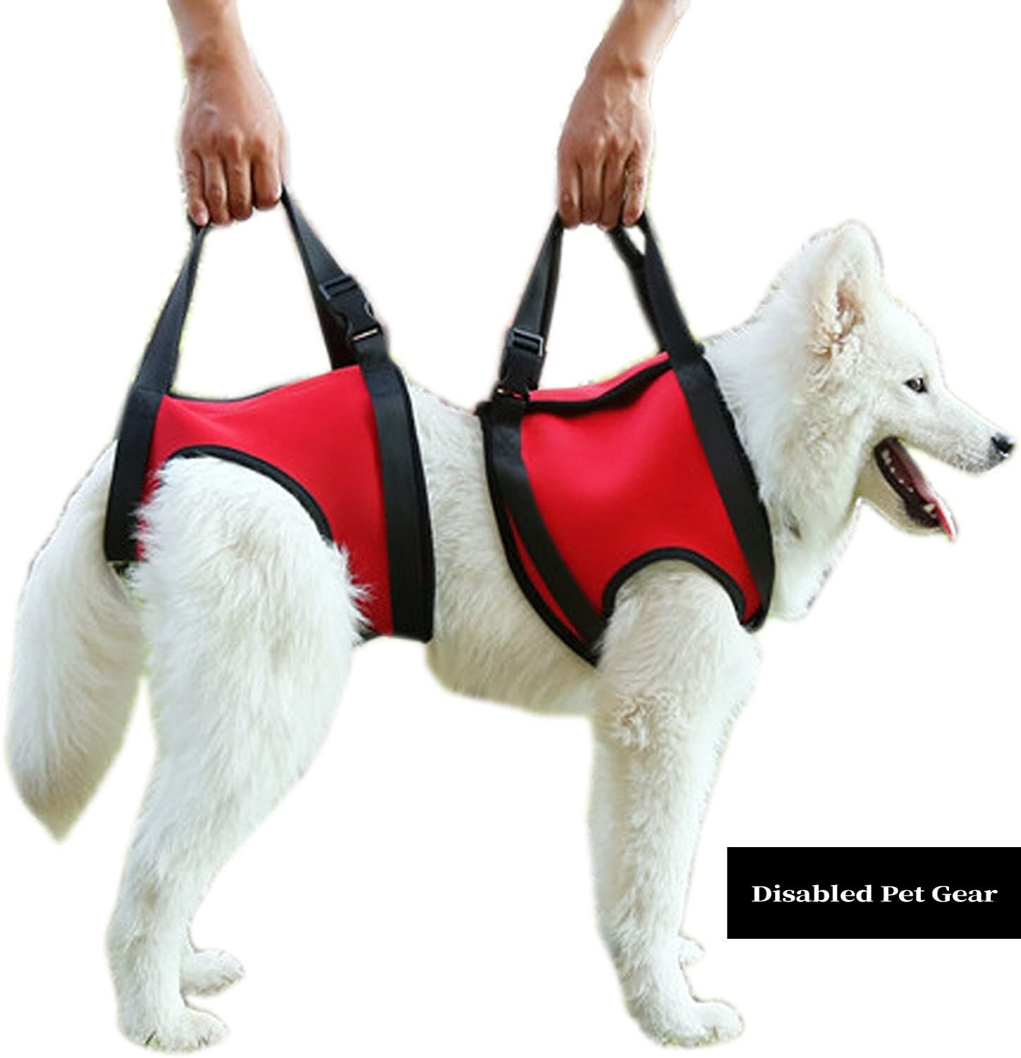 Front And/or Rear Support & Rehabilitation Dog Harness Read - Etsy