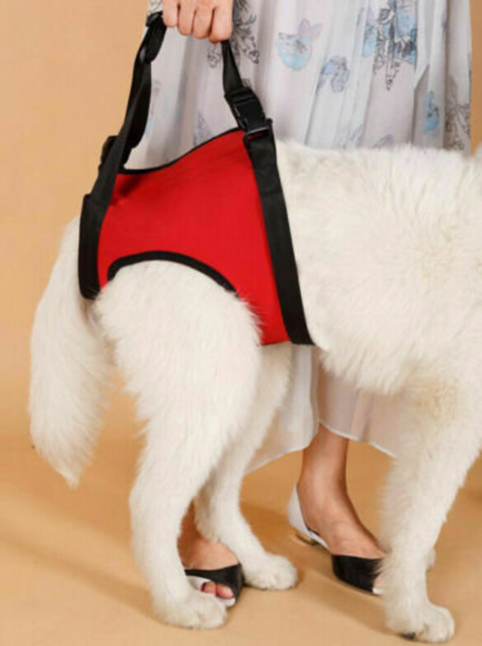 Front And/or Rear Support & Rehabilitation Dog Harness Read - Etsy