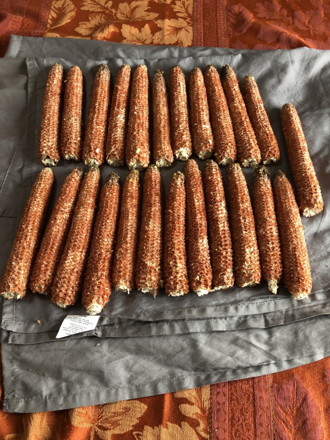 25 Primitive Dried Corn Cobs 6" to 7"+ Arts Crafts - Naturally Dried and Grown on Our Farm Use ...