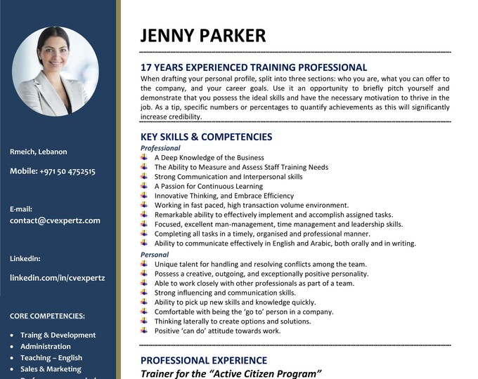 Standard Resume Professional Resume Template Modern Resume CV Template ...