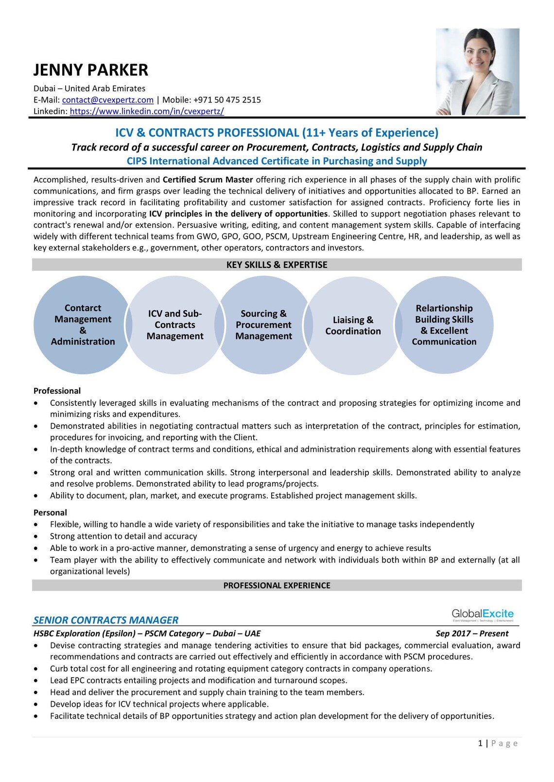 Standard Resume Professional Resume Template Modern Resume CV Template ...