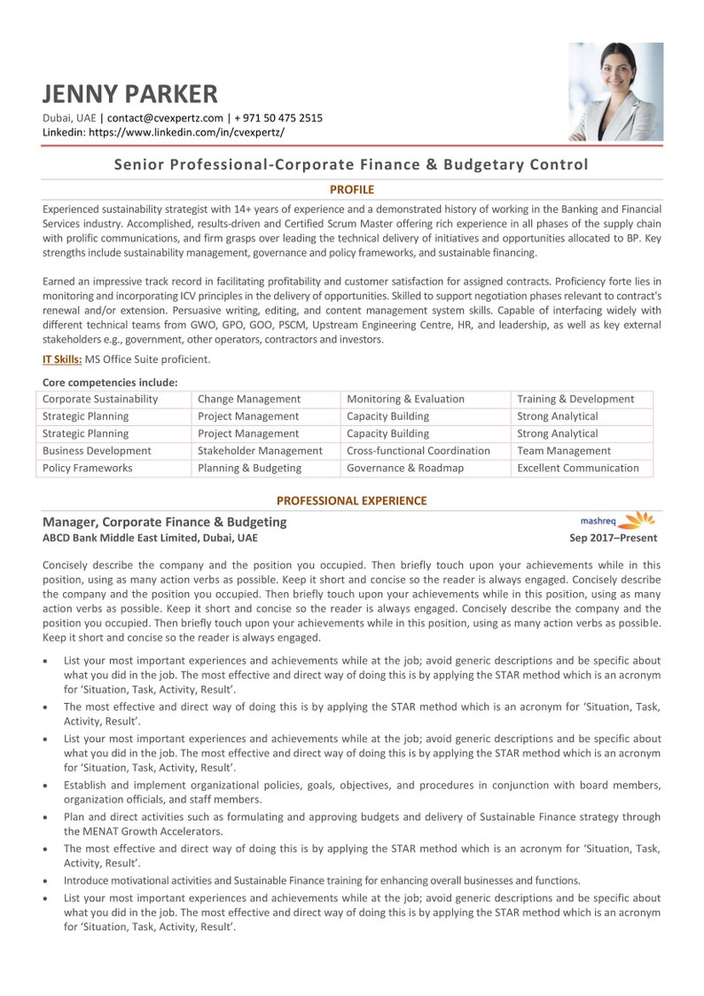 Standard Resume Professional Resume Template Modern Resume - Etsy