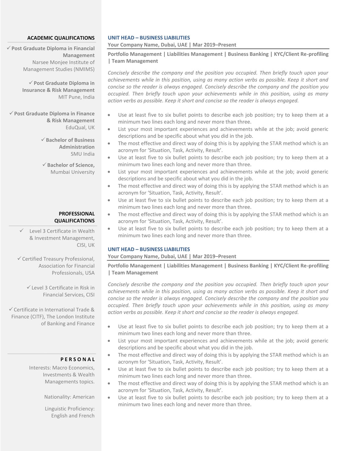 Standard Resume Professional Resume Template Modern Resume CV Template ...