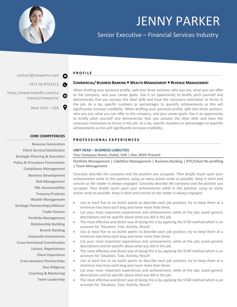 Standard Resume Professional Resume Template Modern Resume CV Template ...