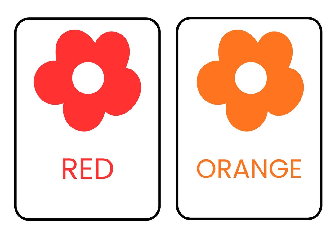 Flower Color Flashcards - Etsy