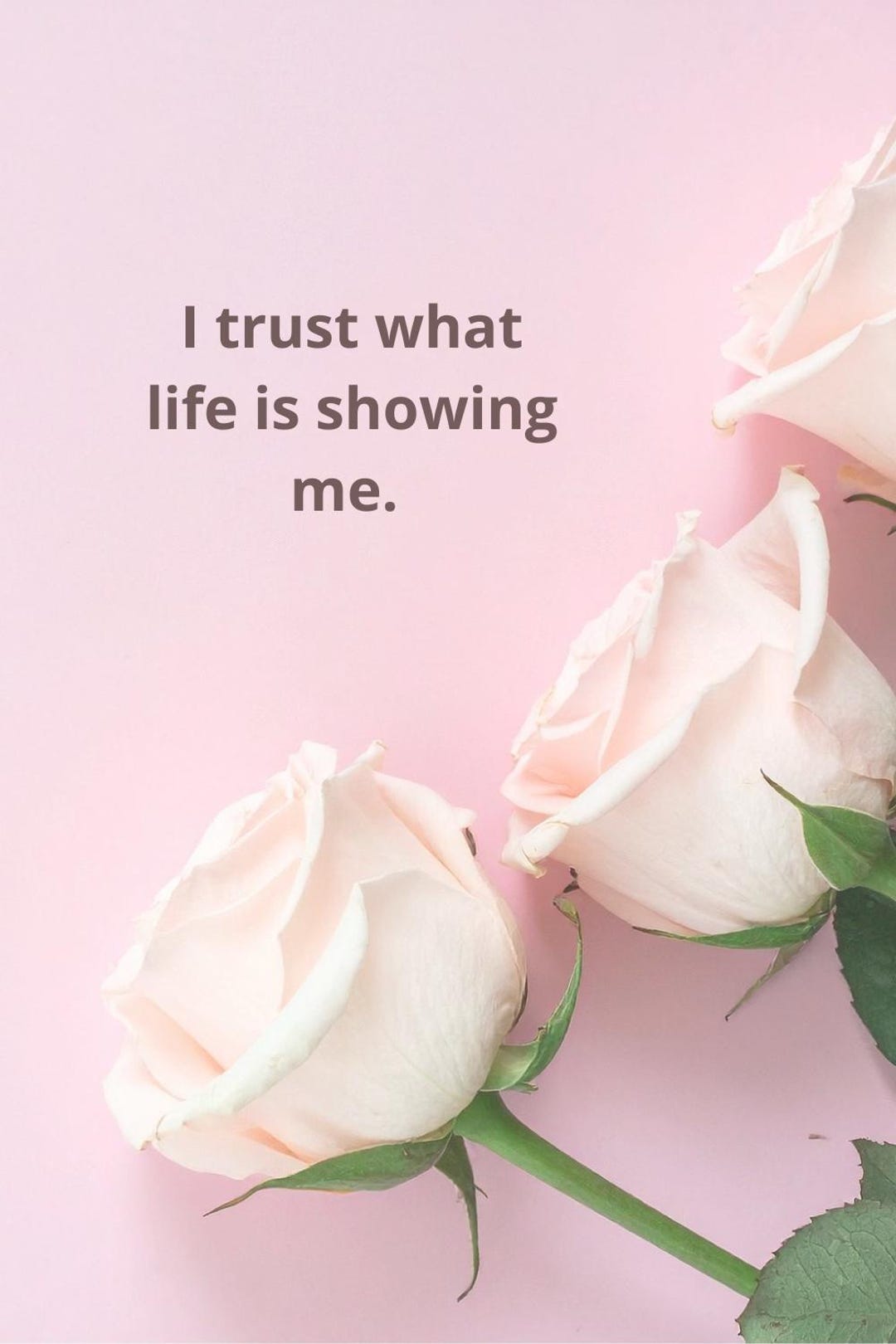 I Choose Myself With Love Printable | Self Love Wall Art | Pink Floral ...
