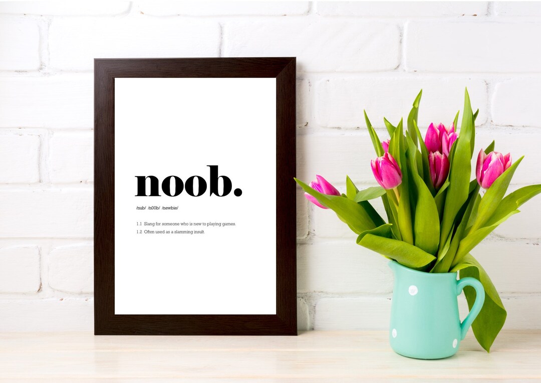 Noob Print Gamer Poster, Gaming Wall Prints, Dorm Room Decor, Digital ...