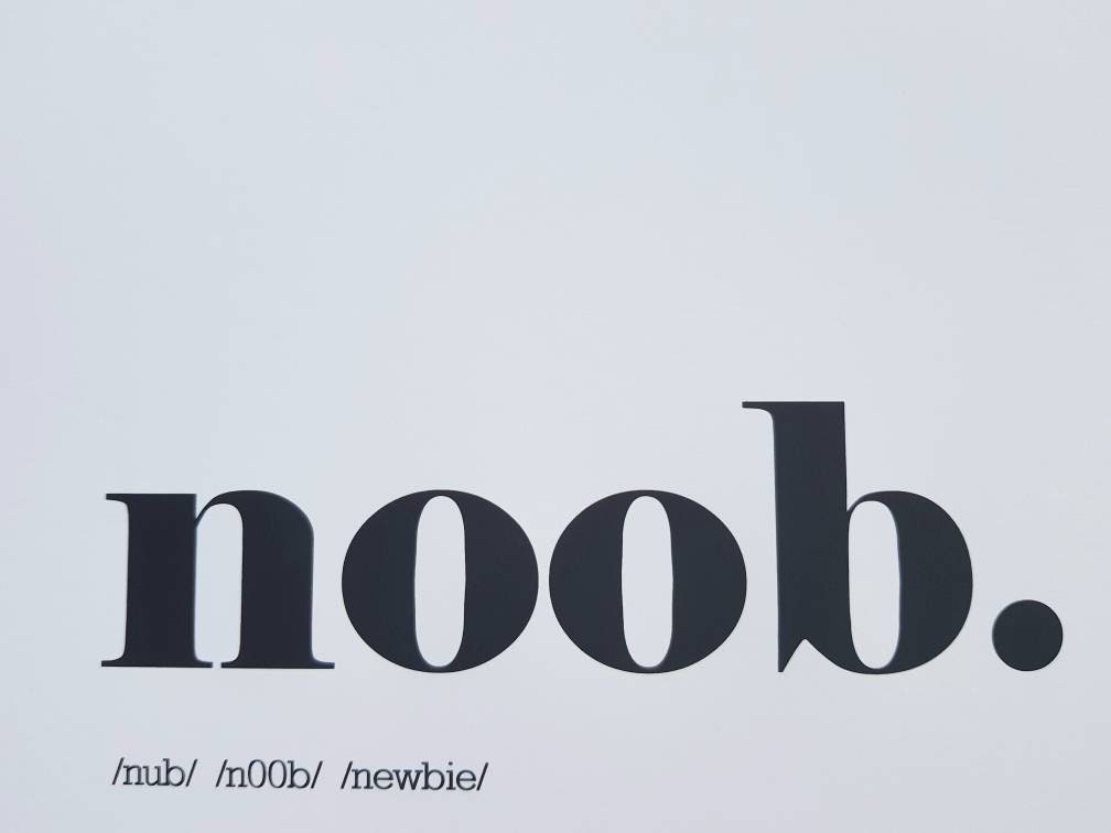 Noob Print Gamer Poster, Gaming Wall Prints, Dorm Room Decor, Digital ...