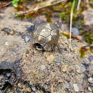 Small Brass Turtle / Tortoise Bell Goblin Guardian Bell - Etsy