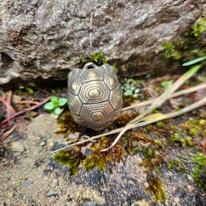 Small Brass Turtle / Tortoise Bell Goblin Guardian Bell - Etsy