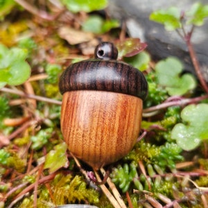Wooden Acorn Pendant Capsule - Etsy