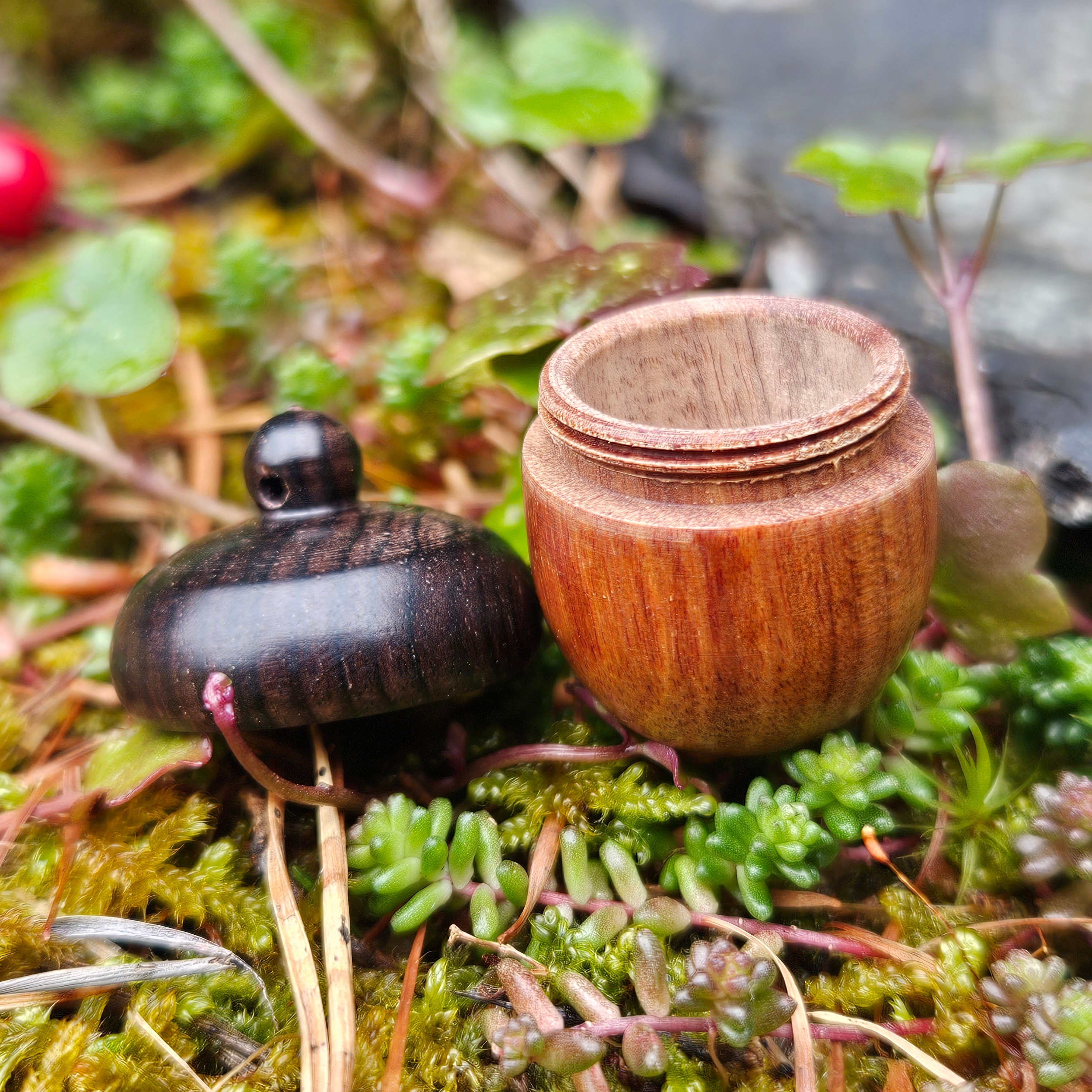 Wooden Acorn Pendant Capsule - Etsy
