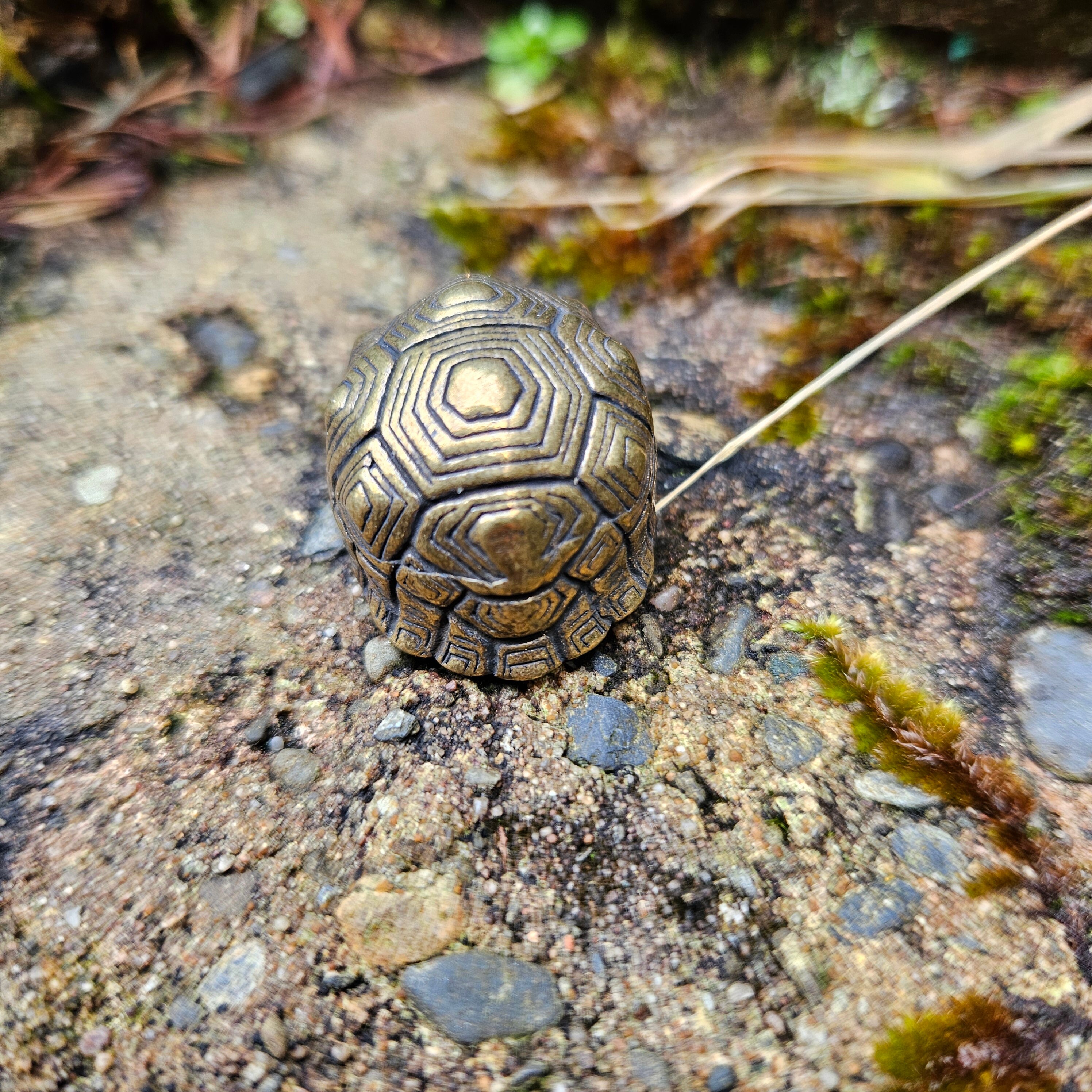 Small Brass Turtle / Tortoise Bell - Etsy
