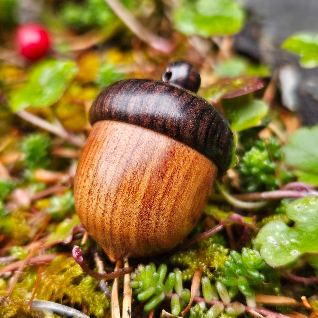 Wooden Acorn Pendant Capsule - Etsy