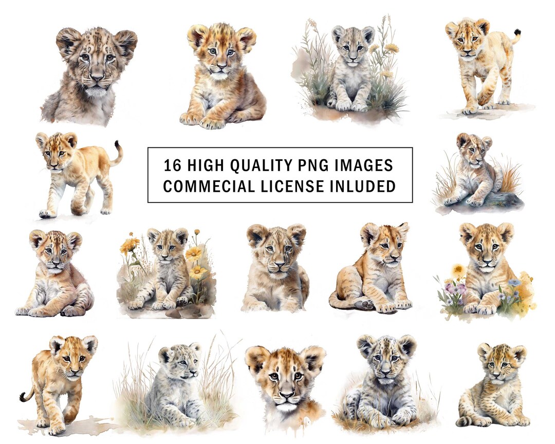 16 Watercolor Baby Lion Clipart, Animals, Nursery, High Quality Clipart ...