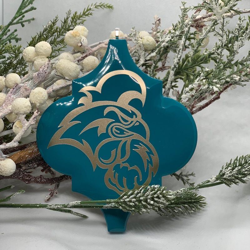 Coastal Carolina Merch - Etsy