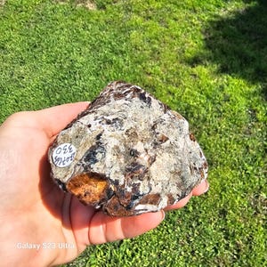 Rare Russian Astrophyllite Crystal – Golden-bronze Gemstone for Healing ...