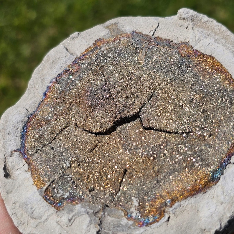 Rare Russian Pyrite Septarian Nodule – Druzy Crystal Display Stone - Etsy