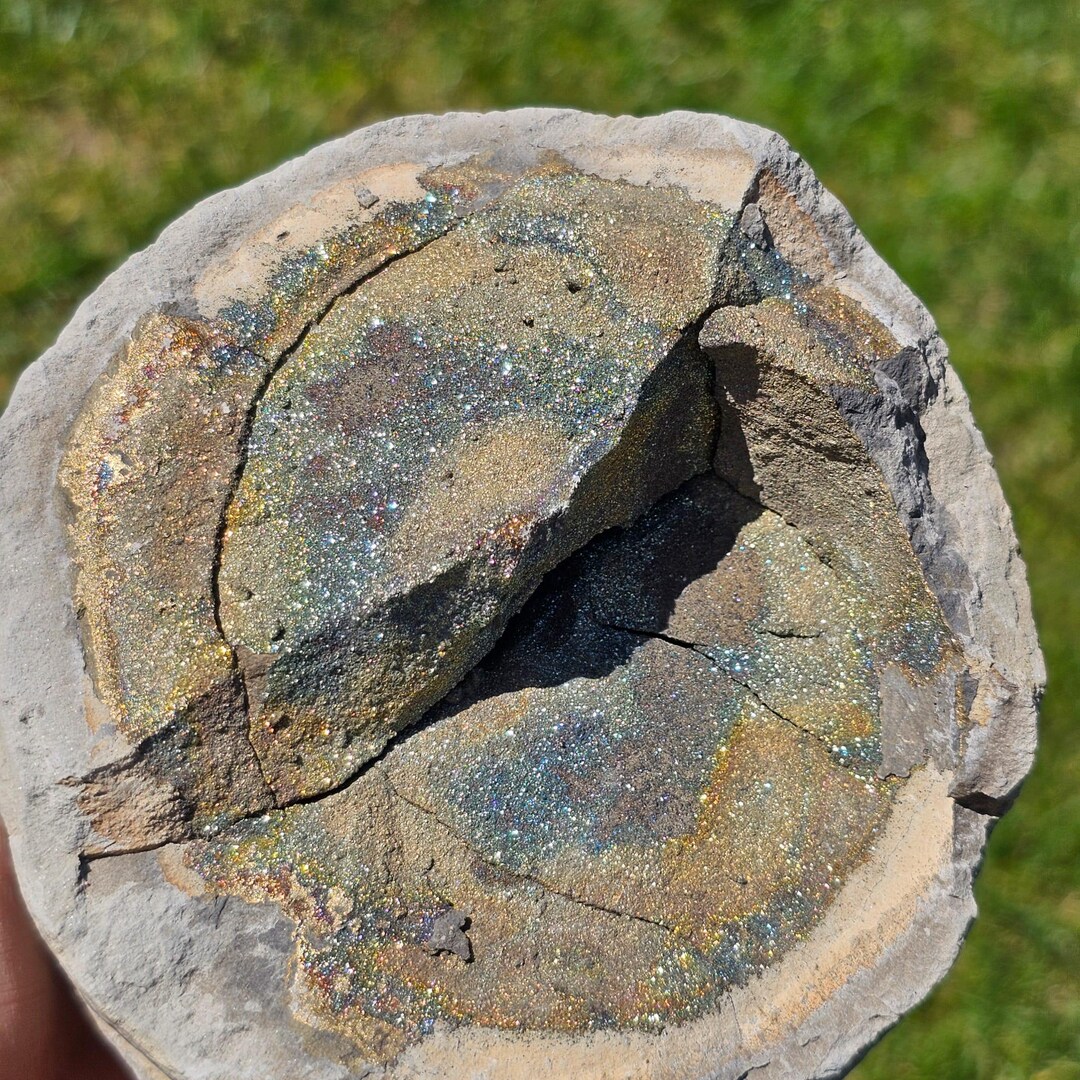Russian Pyrite Septarian Nodule – Druzy Crystal Mineral Specimen - Etsy