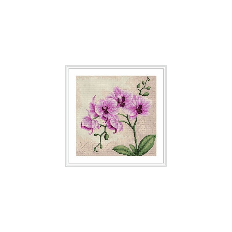 Orchid Pattern - Etsy