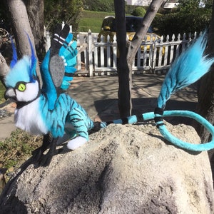 Bluejay/maltese Tiger Gryphon - Etsy
