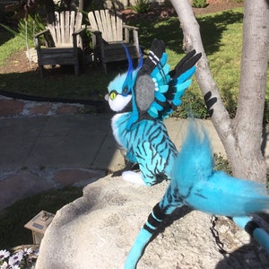 Bluejay/maltese Tiger Gryphon - Etsy