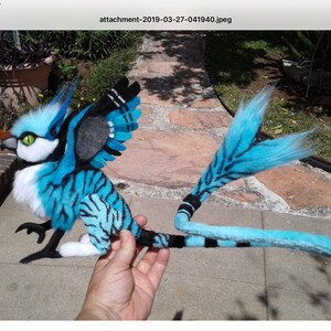 Bluejay/maltese Tiger Gryphon - Etsy