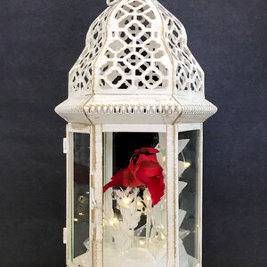 Personalized Red Cardinal Pair Lantern, Anniversary Gift, Parents ...