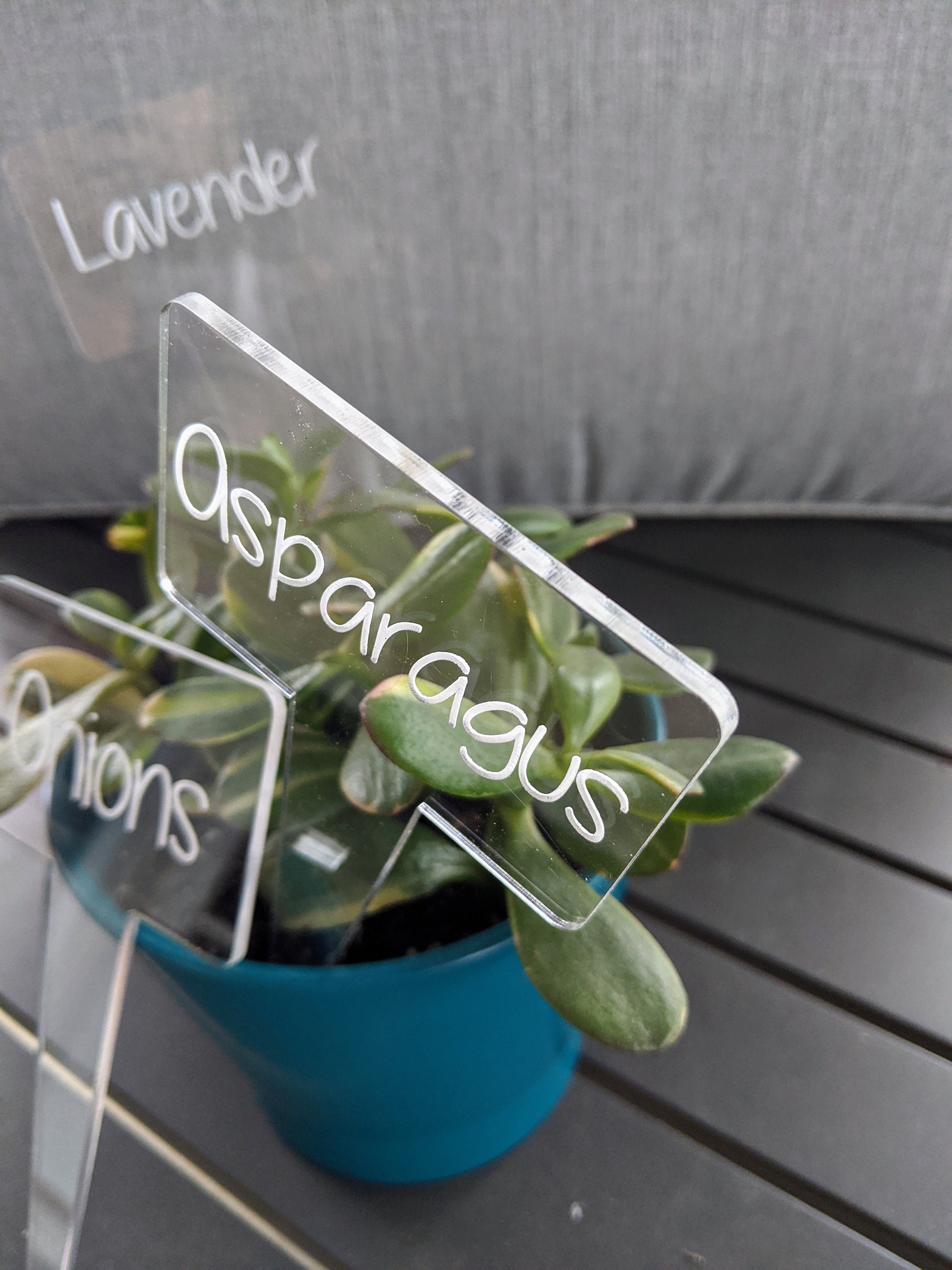 Custom Acrylic Garden Marker, Plant Label, Large Garden Stake - Etsy