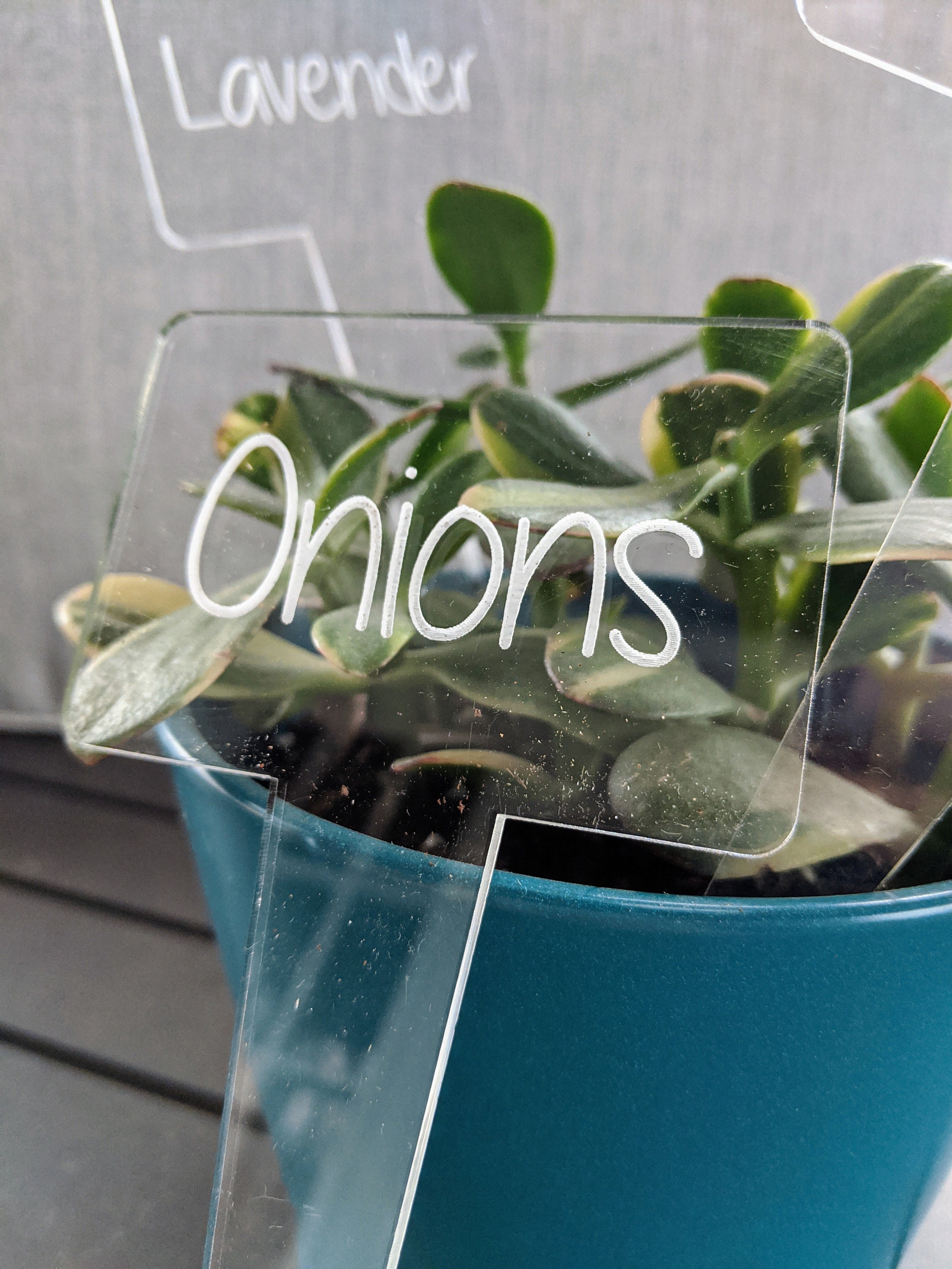 Custom Acrylic Garden Marker, Plant Label, Large Garden Stake - Etsy